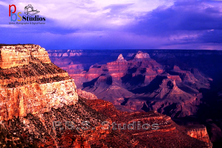 Home - PBS_Studios - New - PBS Studios