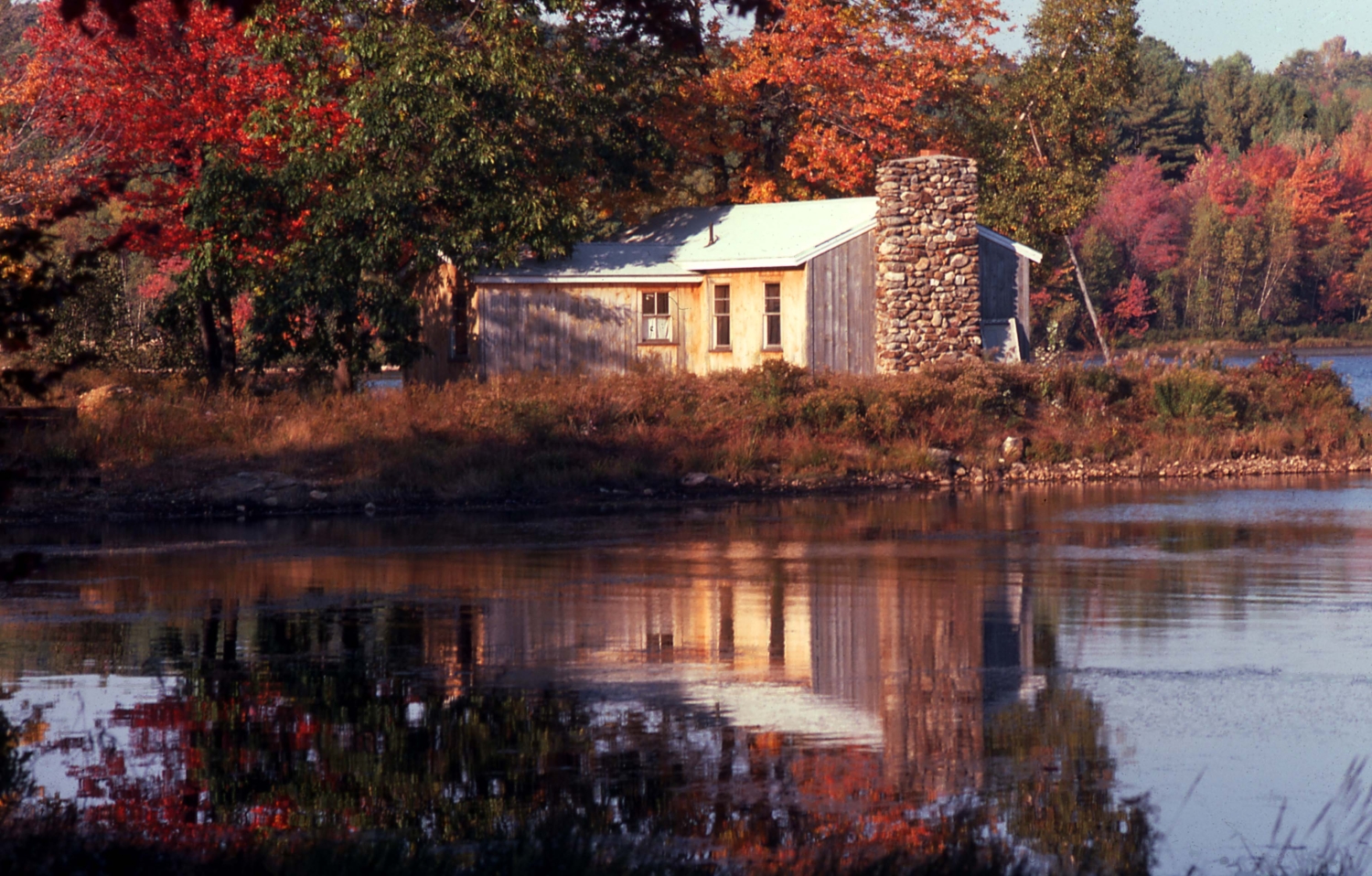 DPPuAP - PBS Studios