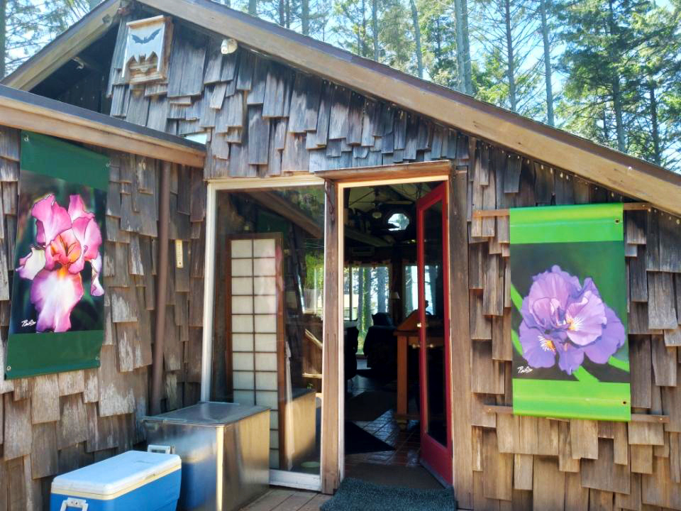 Publication in Barefoot Writer Magazine - PBS Studios