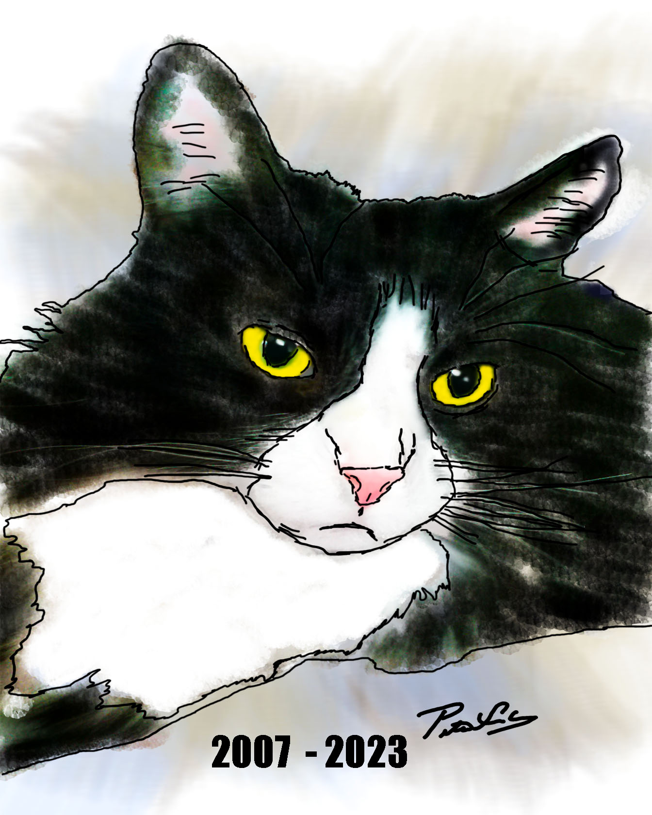 Daisy, My Constant Writing Companion - PBS Studios